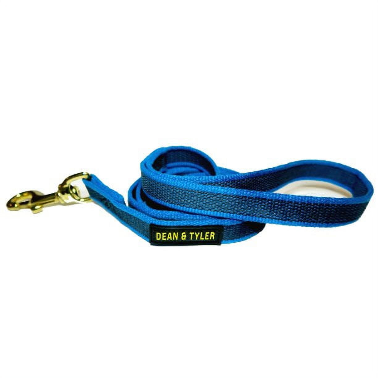Dean & Tyler All Weather Stronghold Dog Leash for Maximum Grip Electric ...