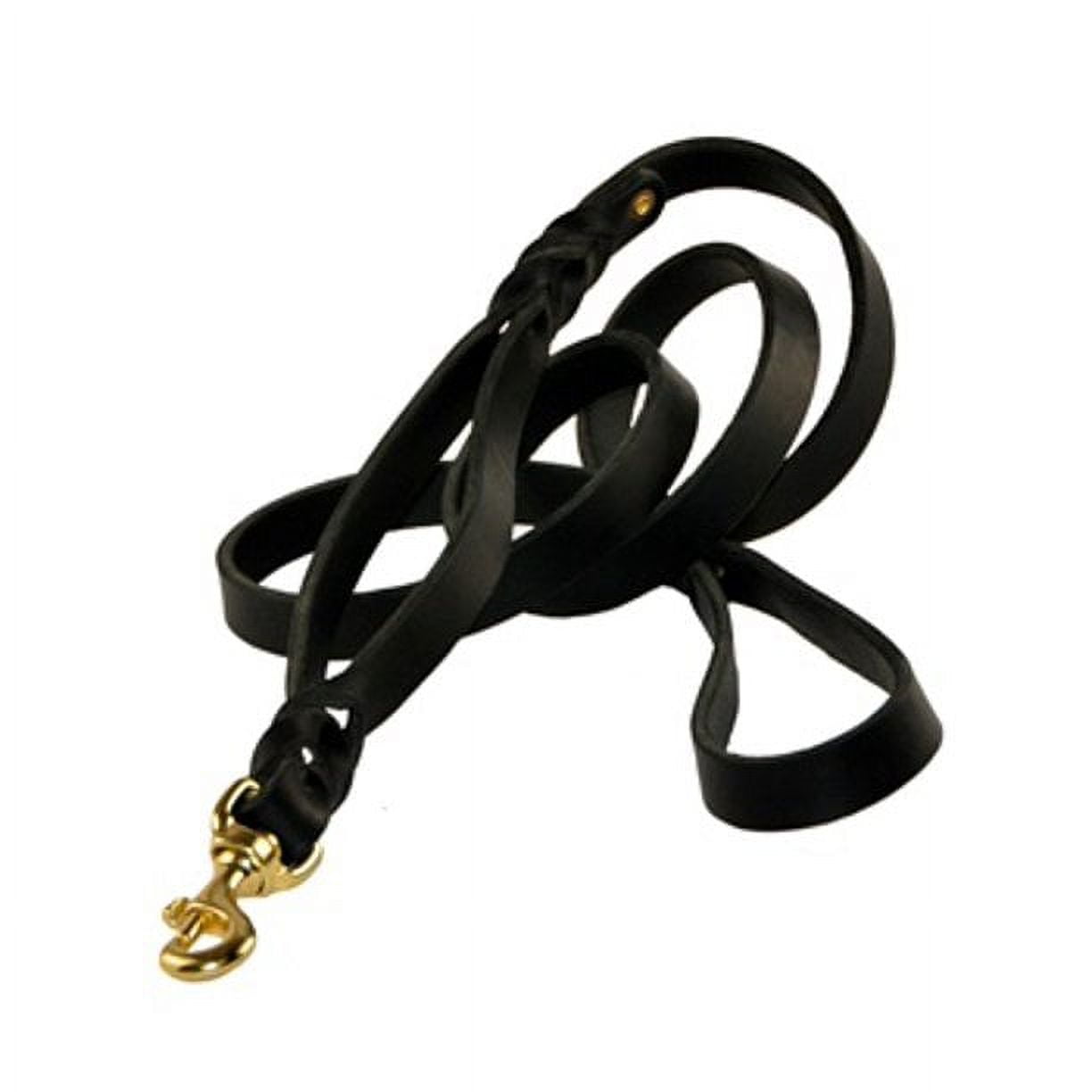 Dean & Tyler Leather Traffic Leash Braidy Bunch Dog Lead - Walmart.com