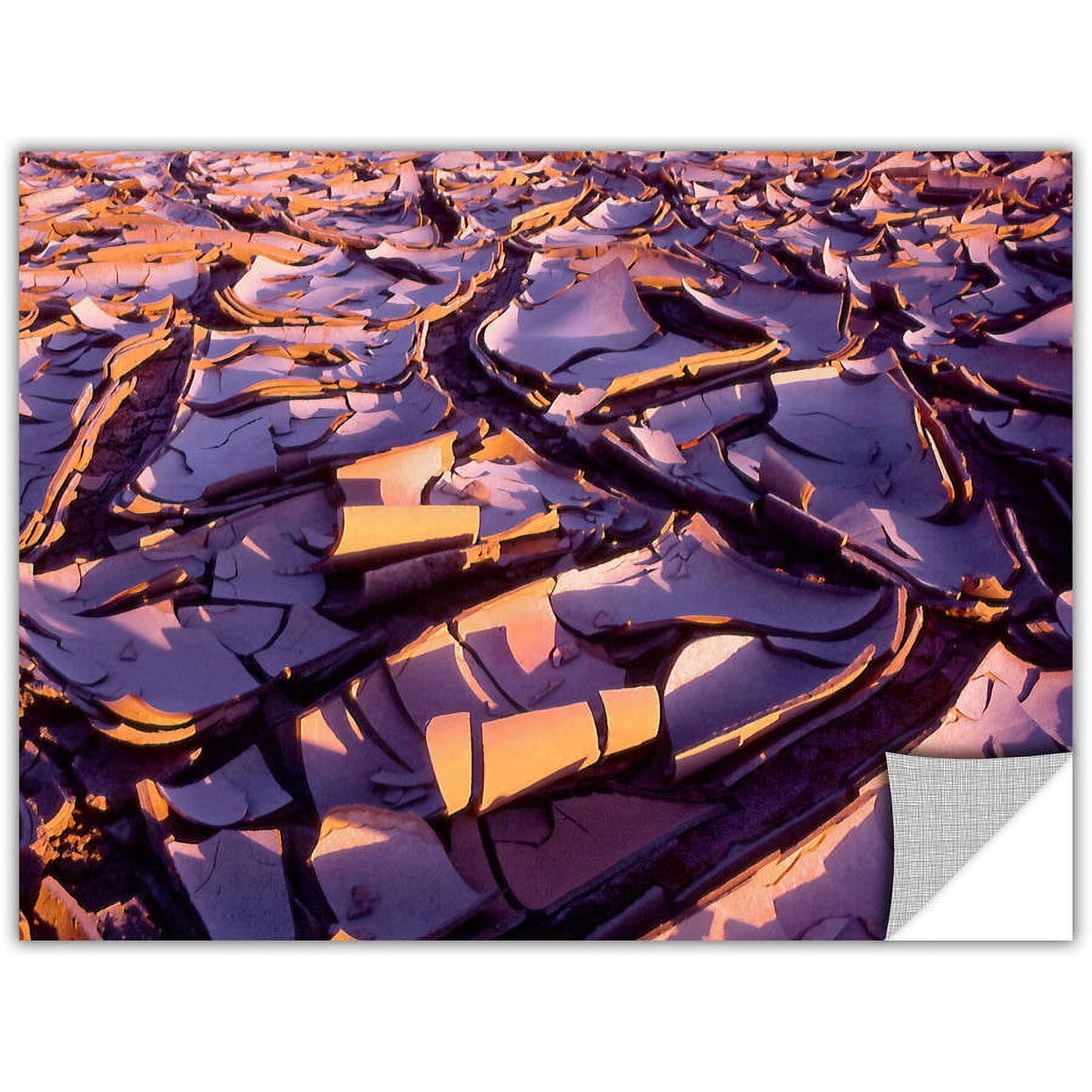 Dean Uhlinger Barro Magnifico, Art Appeelz Removable Wall Art Graphic ...