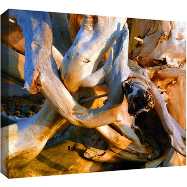 ArtWall Mark Adlington "Underwater Bear" Gallery-Wrapped Canvas - Walmart.com