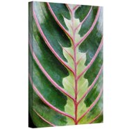 Dean Uhlinger "Ponto Beach Twilight" Gallery-Wrapped Canvas - Walmart.com