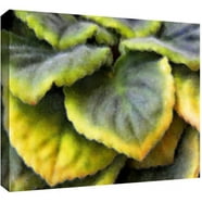 ArtWall Mark Adlington "Playfight" Gallery-Wrapped Canvas - Walmart.com