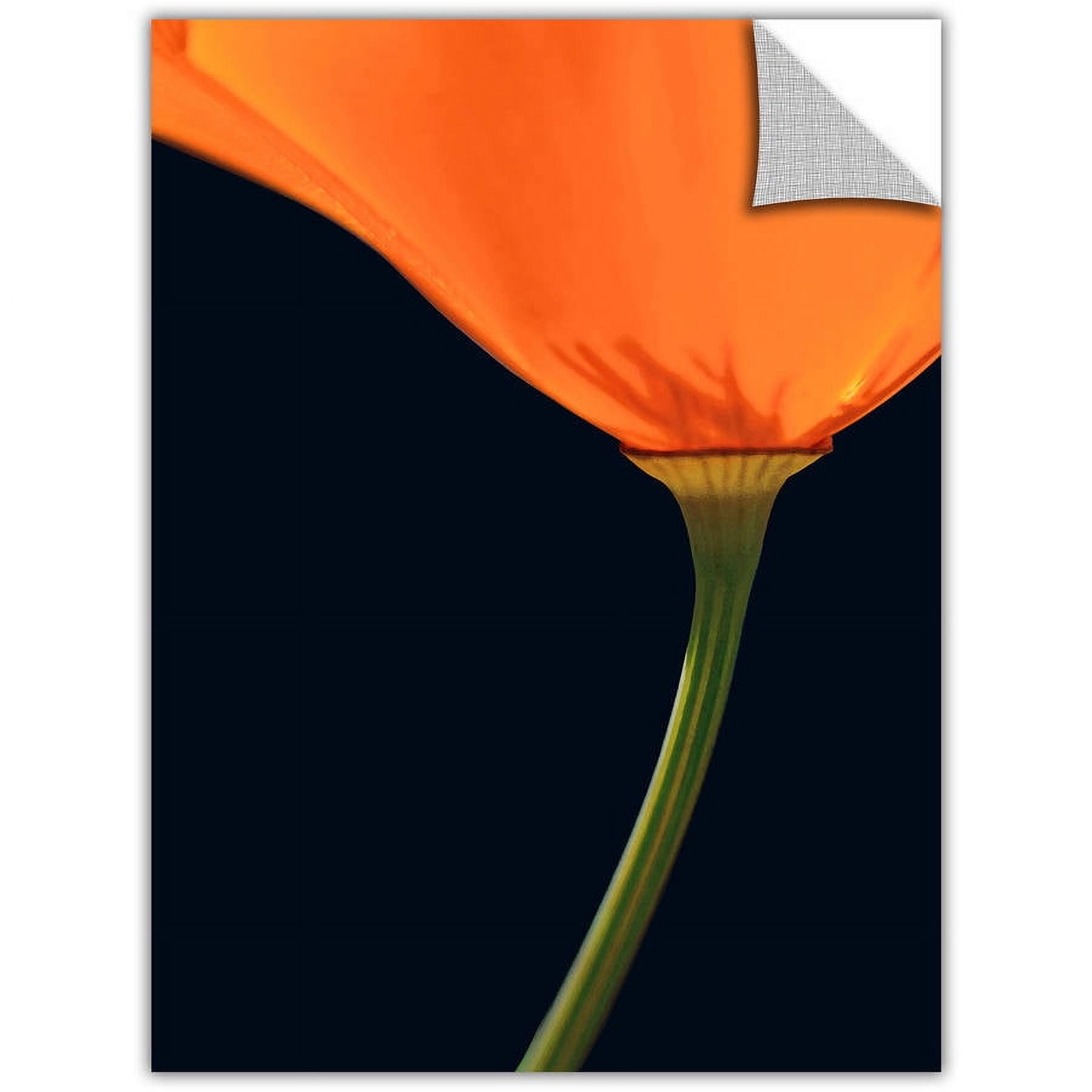 Dean Uhlinger "Pauma Valley Poppy" Removable Wall Art Graphic - Walmart.com