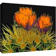 ArtWall Mark Adlington "Underwater Bear" Gallery-Wrapped Canvas - Walmart.com