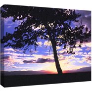 Dean Uhlinger "Ponto Beach Twilight" Gallery-Wrapped Canvas - Walmart.com