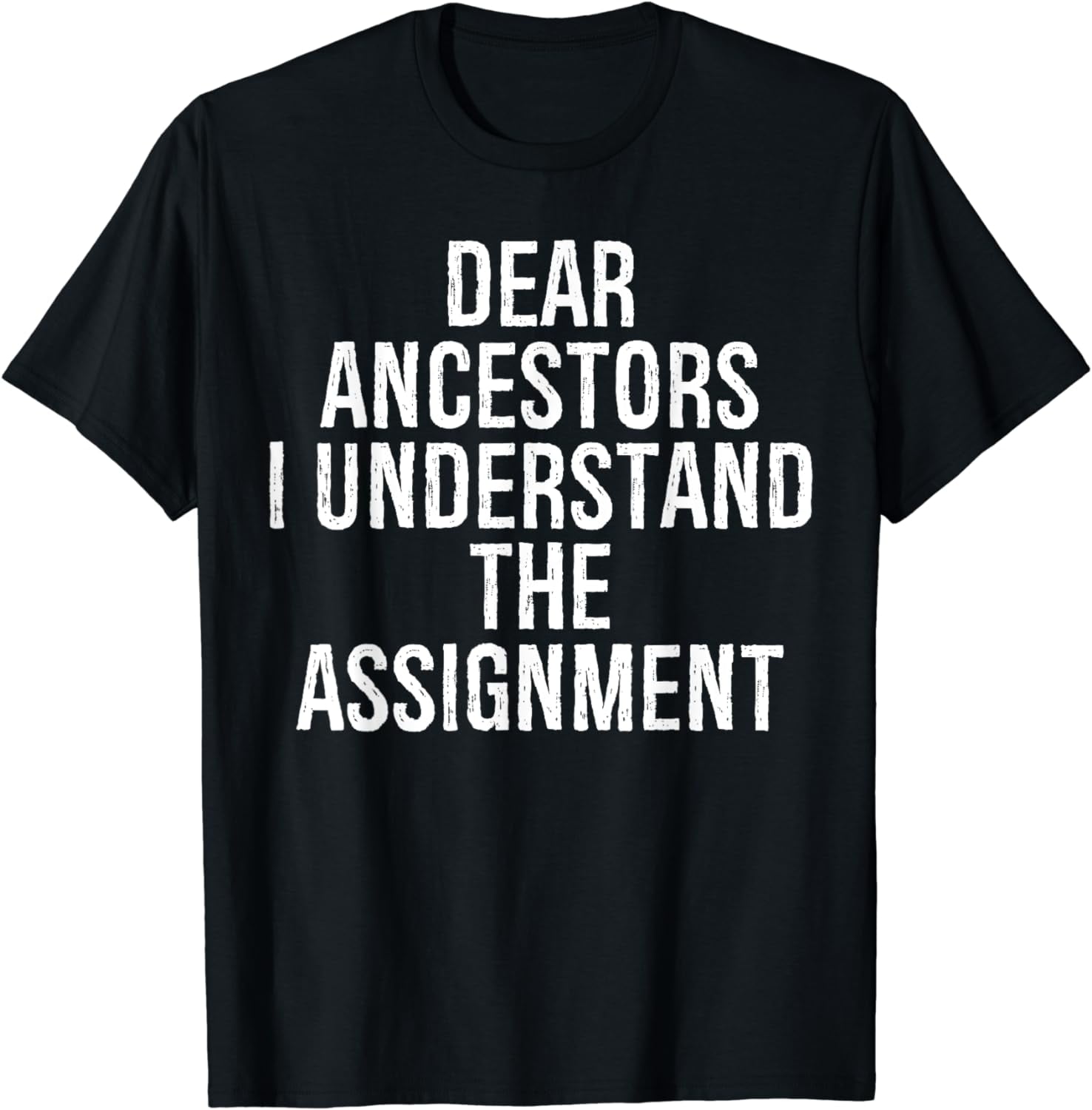 Dear Ancestors I Understand The Assignment T-Shirt10 - Walmart.com