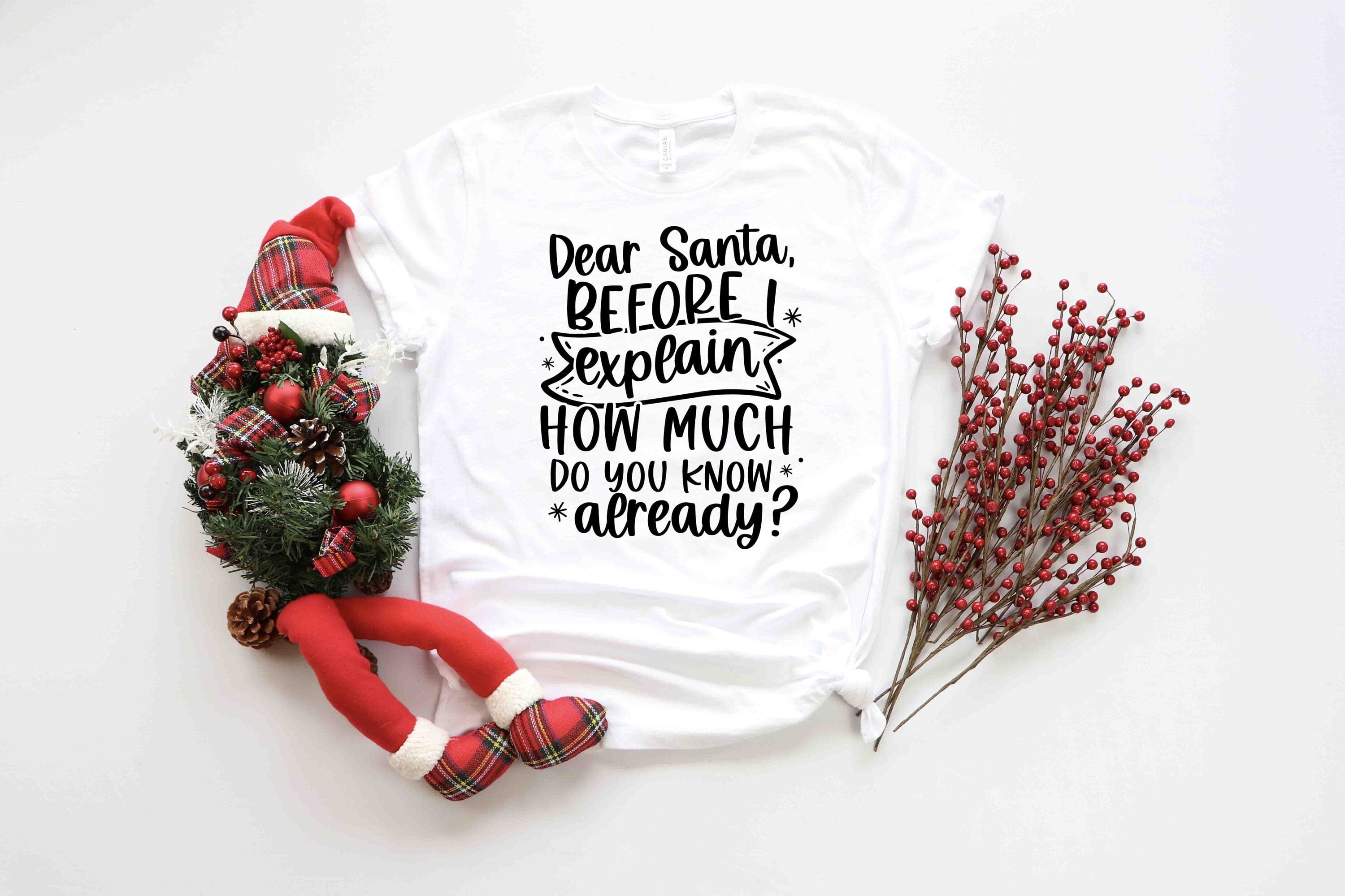 Dear Santa Shirt, Funny Christmas Shirt, Naughty Joyful Mistletoe ...