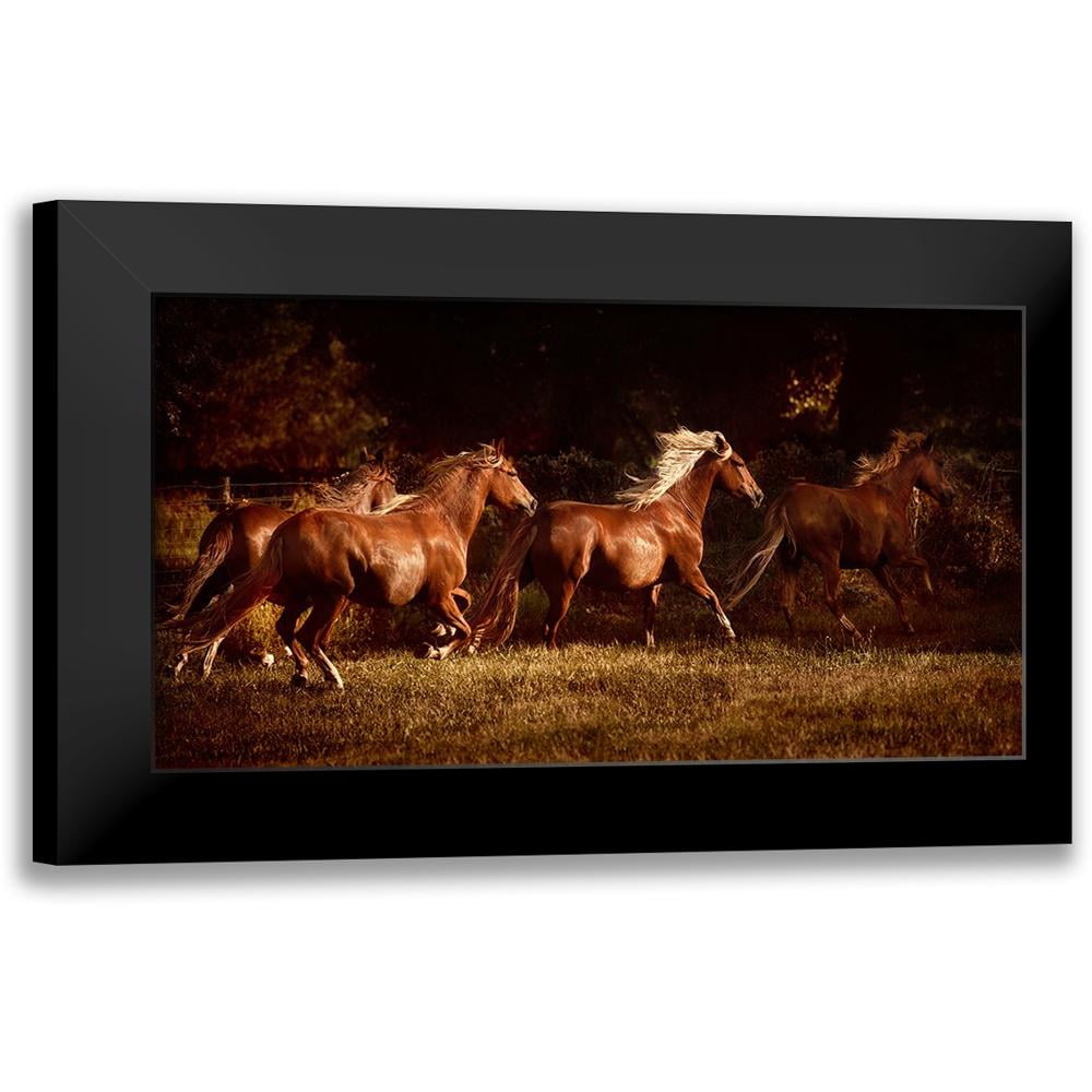 Dearing, Lisa 14x9 Black Modern Framed Museum Art Print Titled - Fire ...