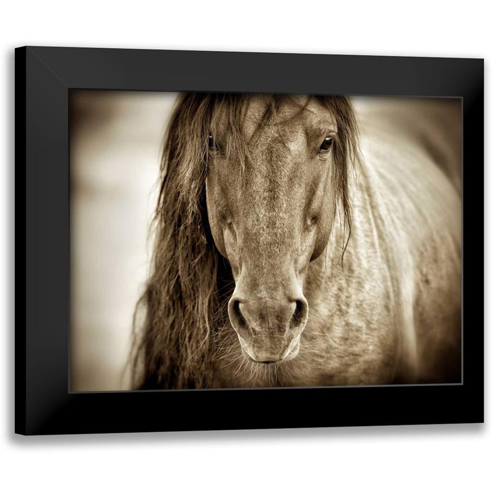 Dearing, Lisa 24x19 Black Modern Framed Museum Art Print Titled ...