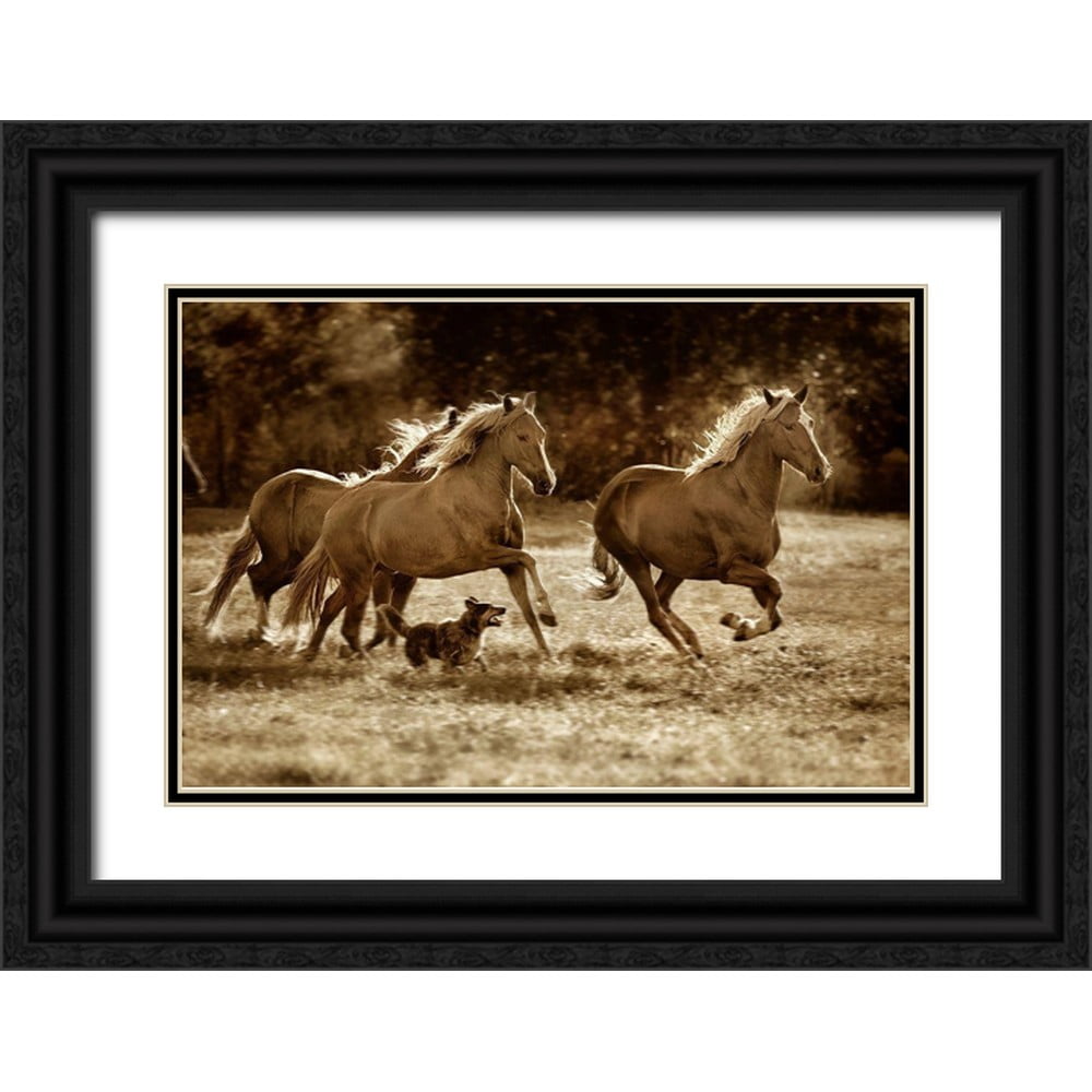 Dearing, Lisa 32x23 Black Ornate Wood Framed with Double Matting Museum ...