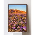 Death Valley Super Bloom California Desert Wildflowers Rare Landscape ...
