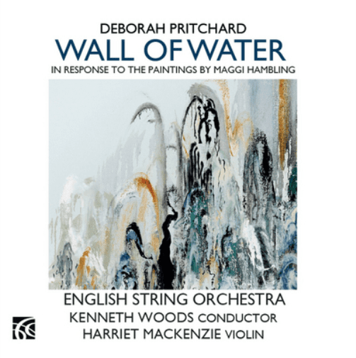 Deborah Pritchard: Wall of Water (Audiobook) - Walmart.com