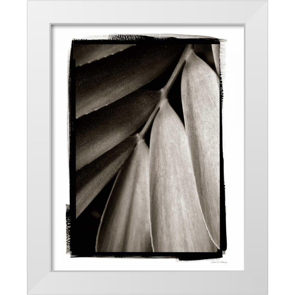 Debra, Van Swearingen 20x24 White Modern Wood Framed Museum Art Print ...