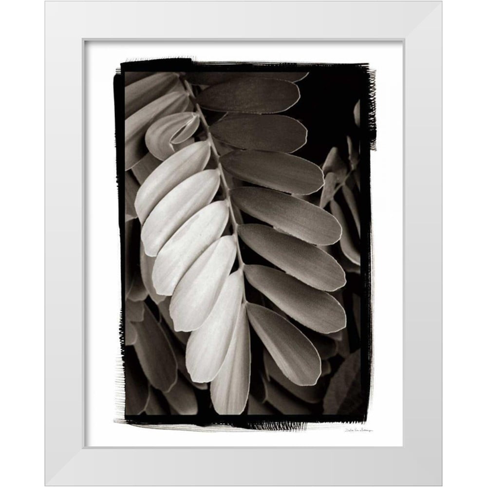 Debra, Van Swearingen 26x32 White Modern Wood Framed Museum Art Print ...