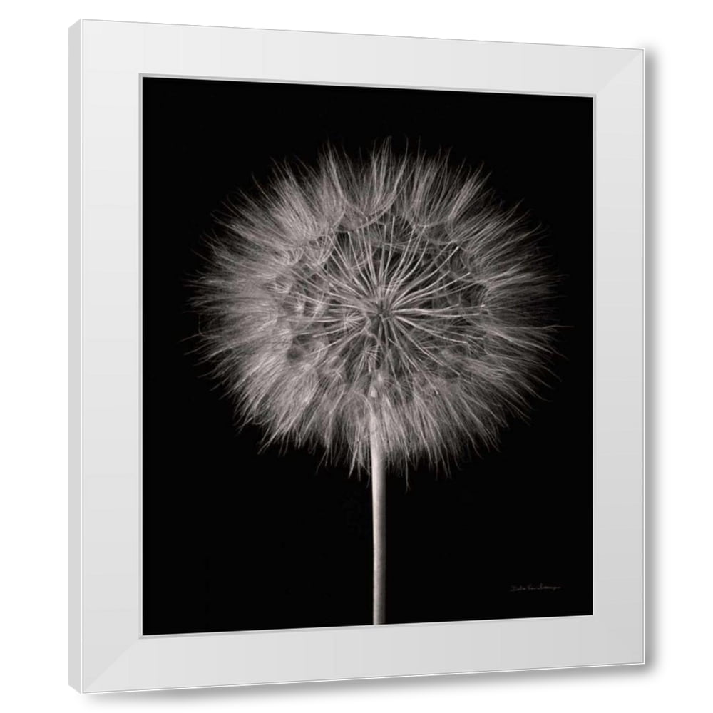 Debra Van Swearingen 4x14 White Modern Wood Framed Wall Art Titled ...