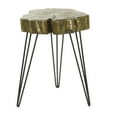 DecMode 19" x 26" Gold Polystone Tree Trunk Accent Table with Black ...