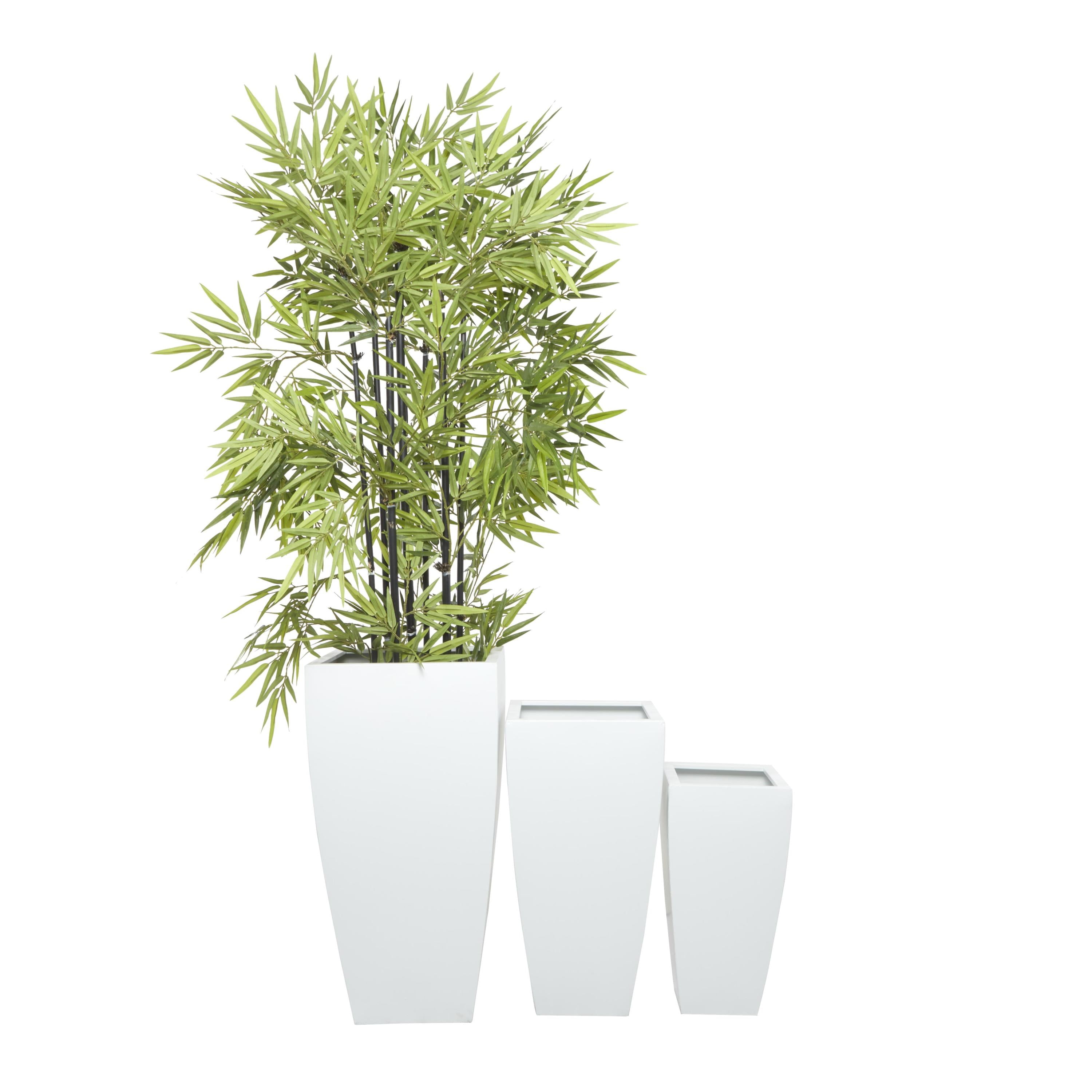 Free Shipping! DecMode 30 Free Shipping! DecMode 30