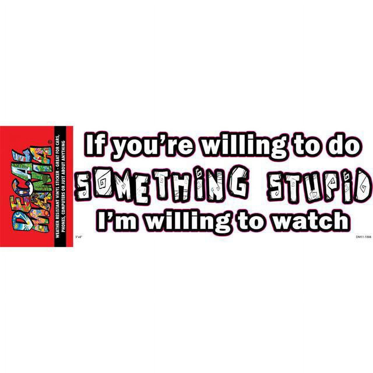 DecalMania Decal 8-Inch If Youre Willing to do Something Stupid ...
