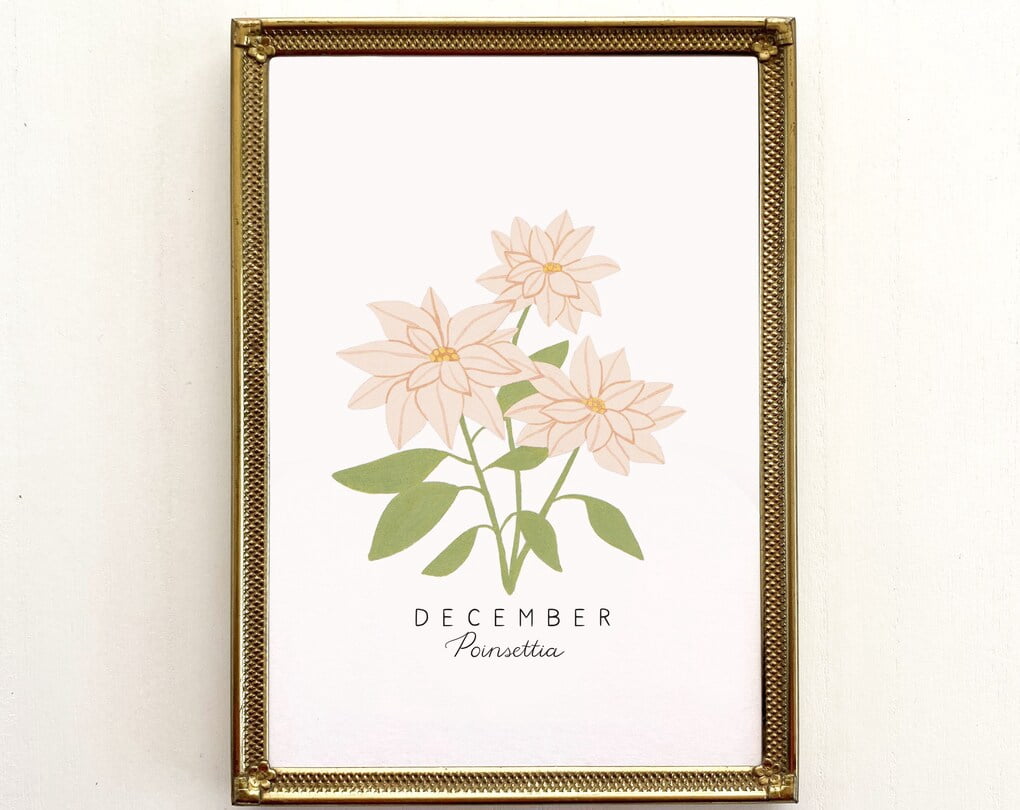 December Birth Flower Print, December Birth Month Flower, Poinsettia ...