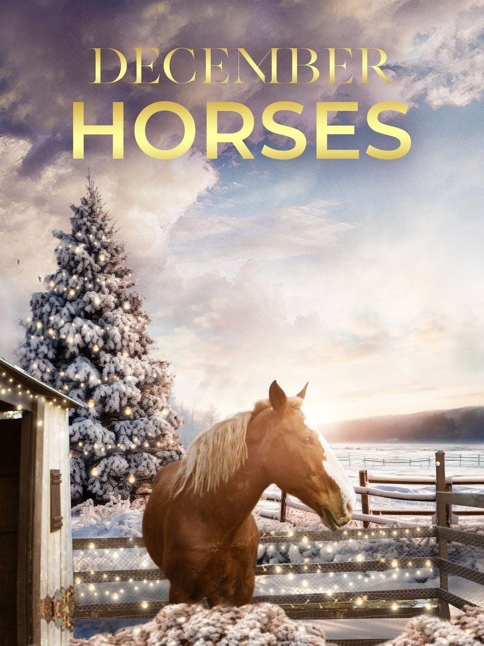 December Horses (DVD) - Walmart.com