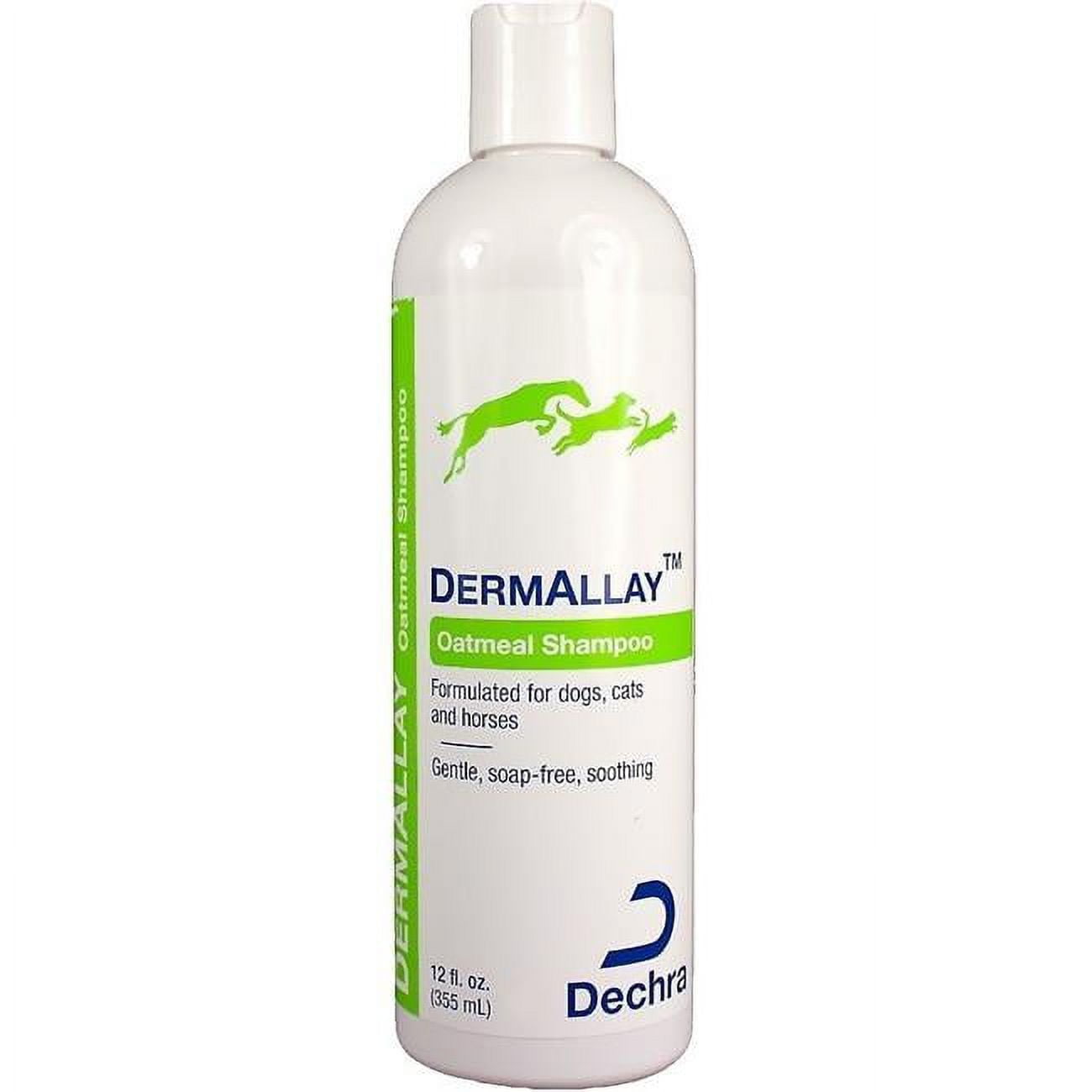 Dechra 192959807110 DermAllay Oatmeal Spray Conditioner for Cats & Dogs ...