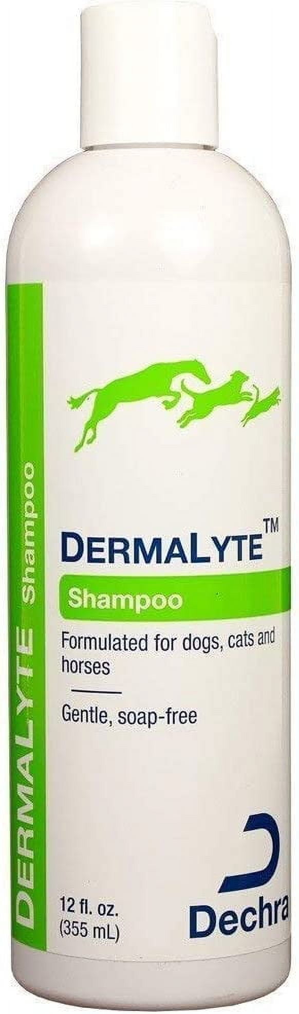 Dechra 192959807134 DermaLyte Shampoo for Cats & Dogs, 12 oz - Walmart.com