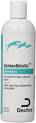 Dechra DermaBenSs Shampoo, 2 Packs (12-Ounce Each) - Walmart.com