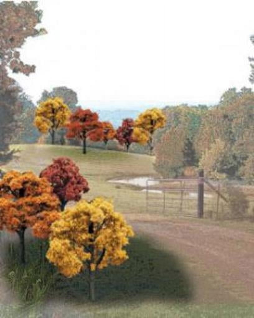 Deciduous Trees - Fall Colors (2" - 3") New - Walmart.com