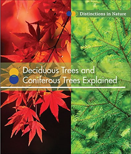 Pre-Owned Deciduous Trees and Coniferous Trees Explained (Hardcover) 9781502617439 - Walmart.com