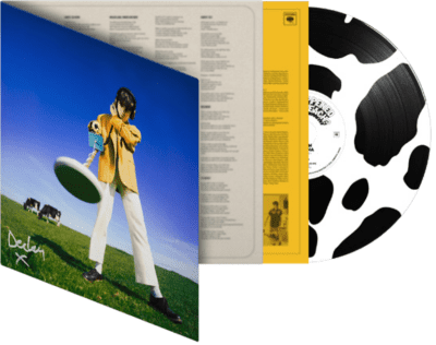 Declan Mckenna What Happened to the Beach? (Deluxe "Moo" Eco-Vinyl ...