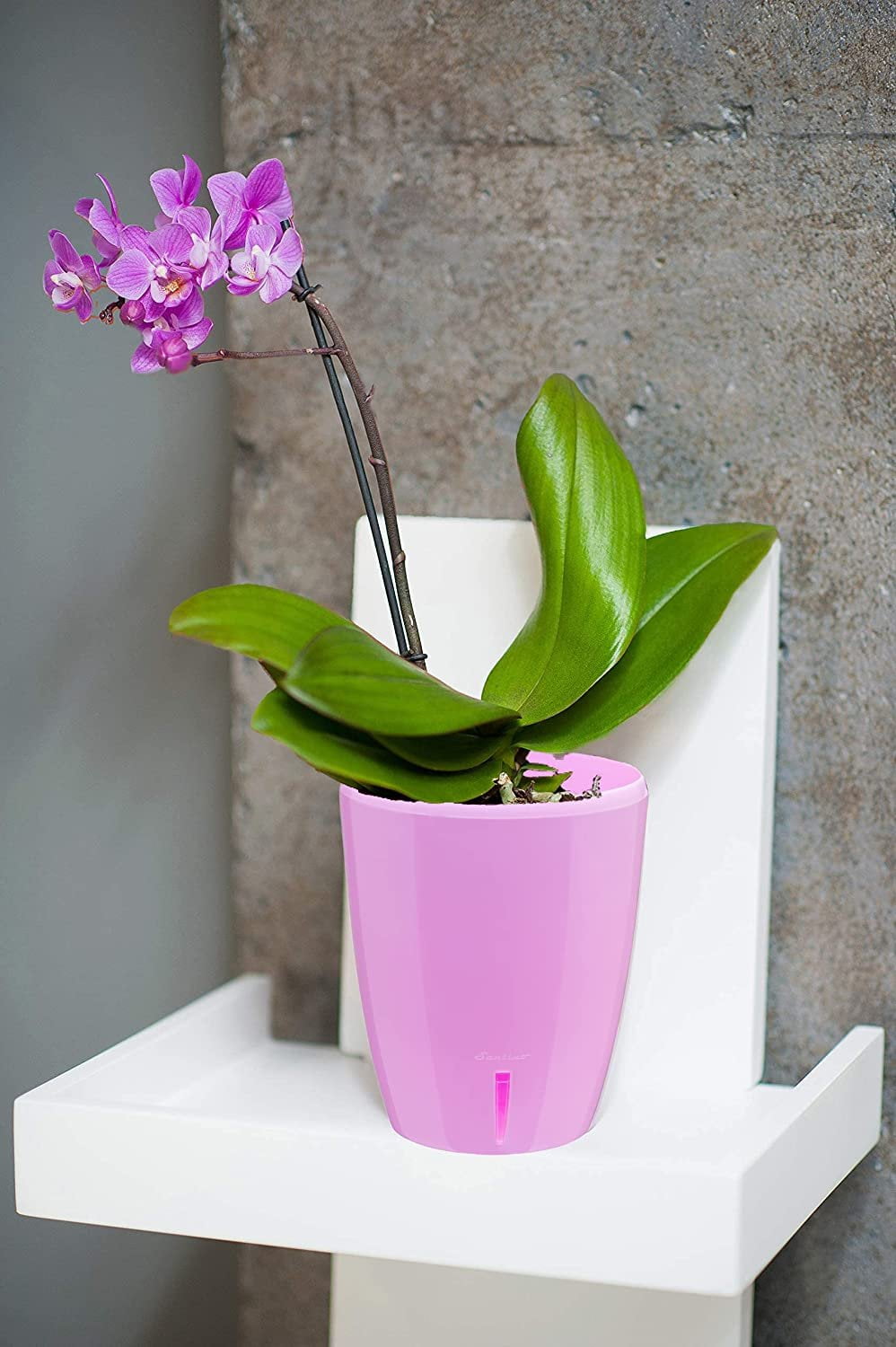 DecoPots Self Watering Orchid Pot, 5.5 inch Lavender Planter, Drainage ...