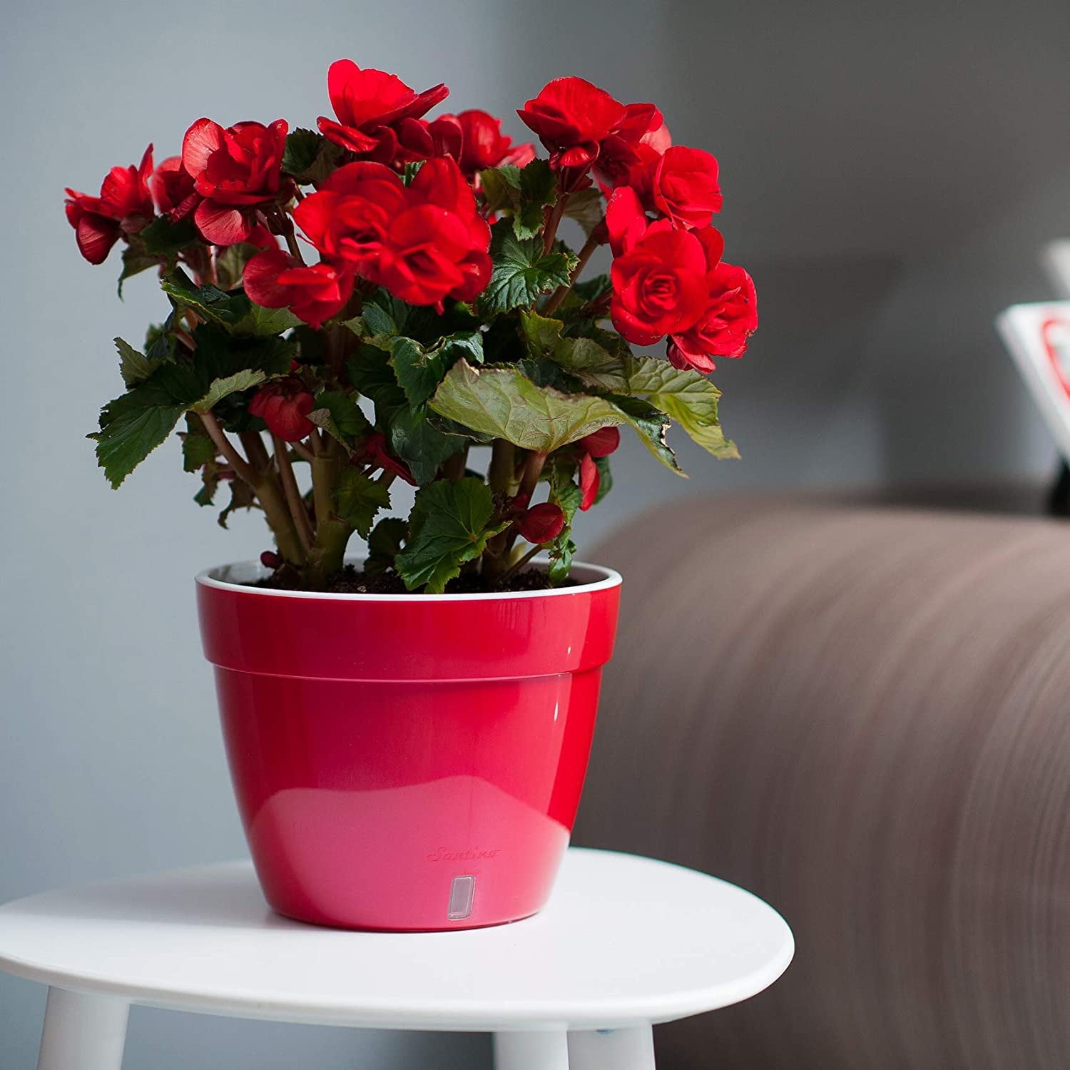 DecoPots - Self Watering Planter - Modern Flower Pot with Water Level ...