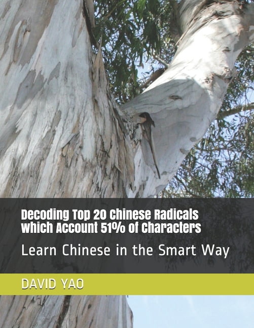 Decoding Top 20 Chinese Radicals which Account 51% of Characters: Learn ...