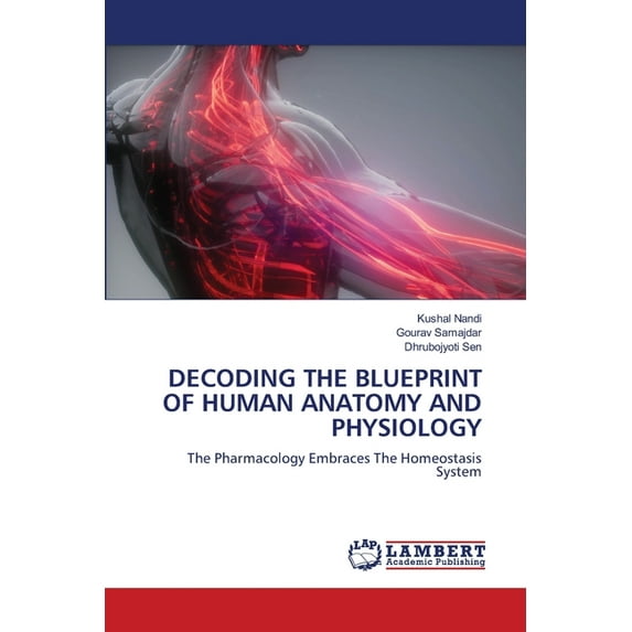 Decoding the Blueprint of Human Anatomy and Physiology, (Paperback) - Walmart.com