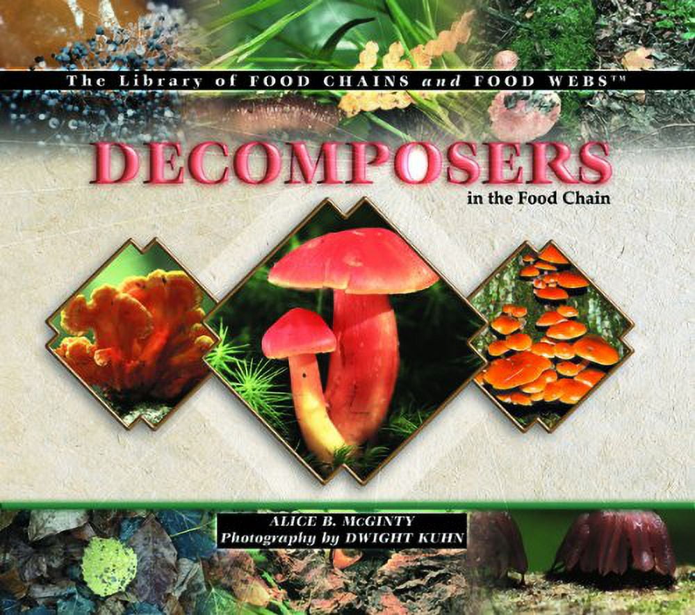 Pre-Owned Decomposers in the Food Chain (The Library of Food Chains and ...