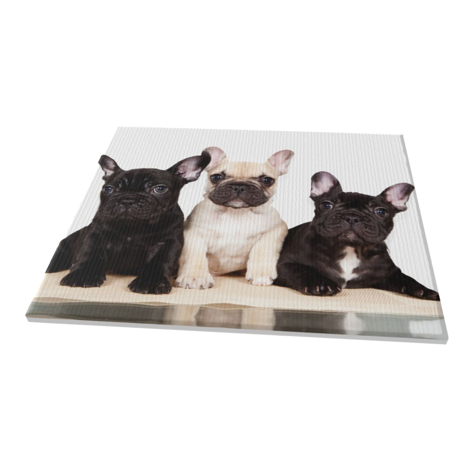 Decor Bulldog Bulldogs Wall Decor Bathroom Canvas Painting Modern ...