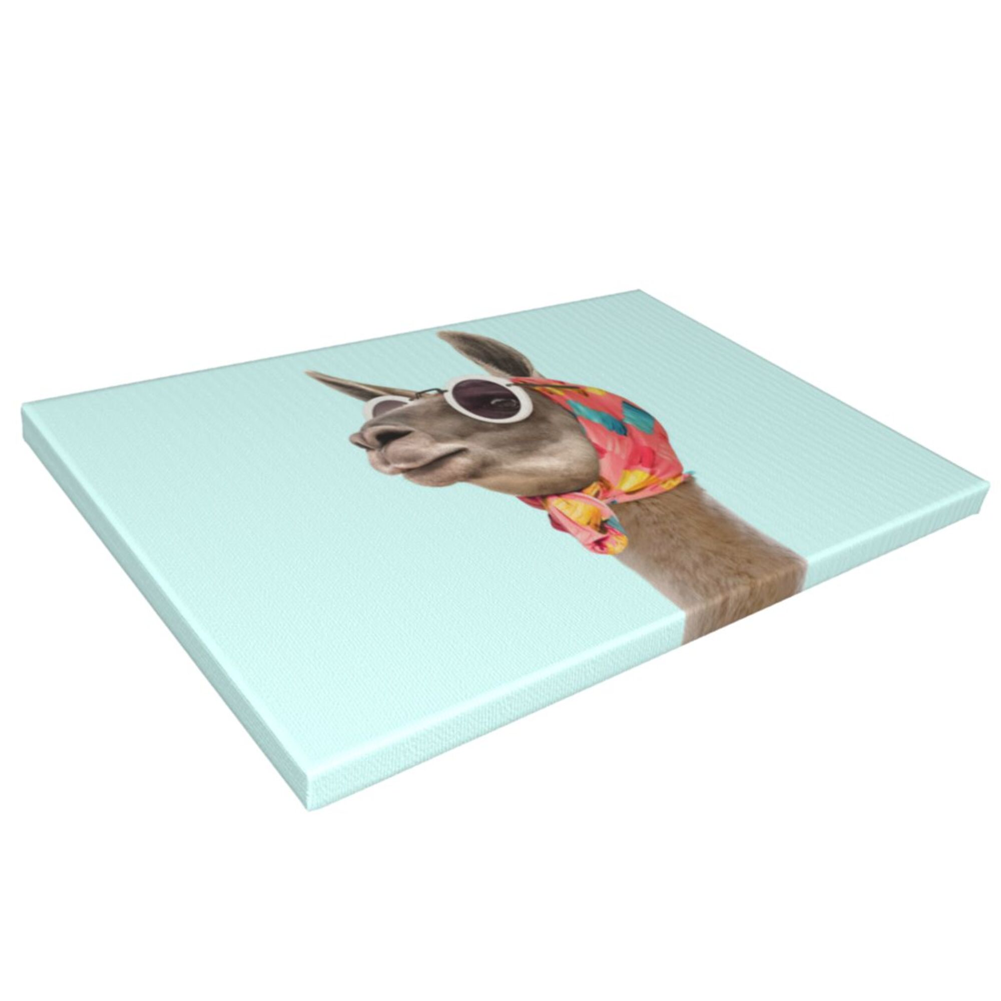 Decor Camel Wall Decor Bathroom Canvas Painting Modern Decorations ...