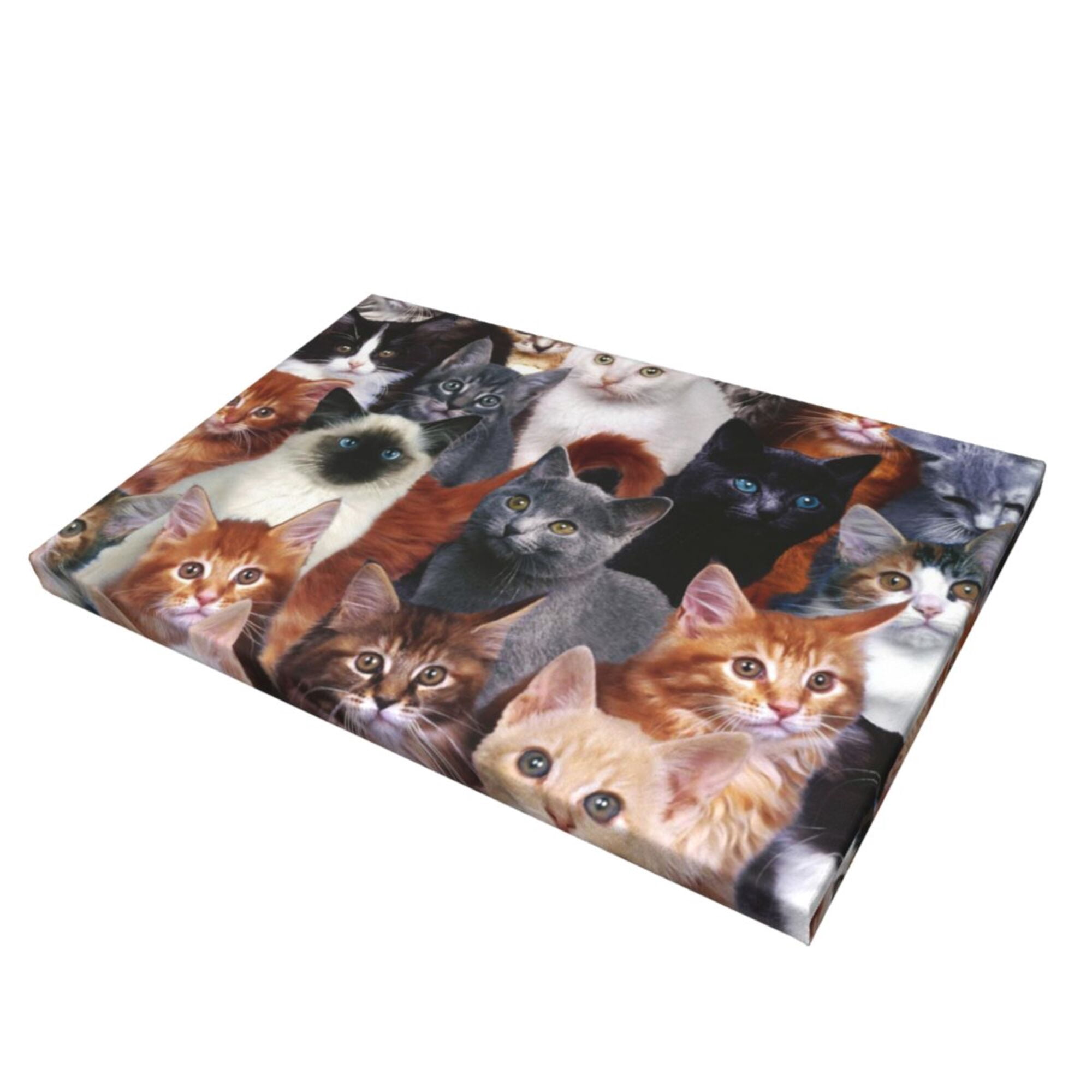 Decor Cats Wall Decor Bathroom Canvas Painting Modern Decorations ...