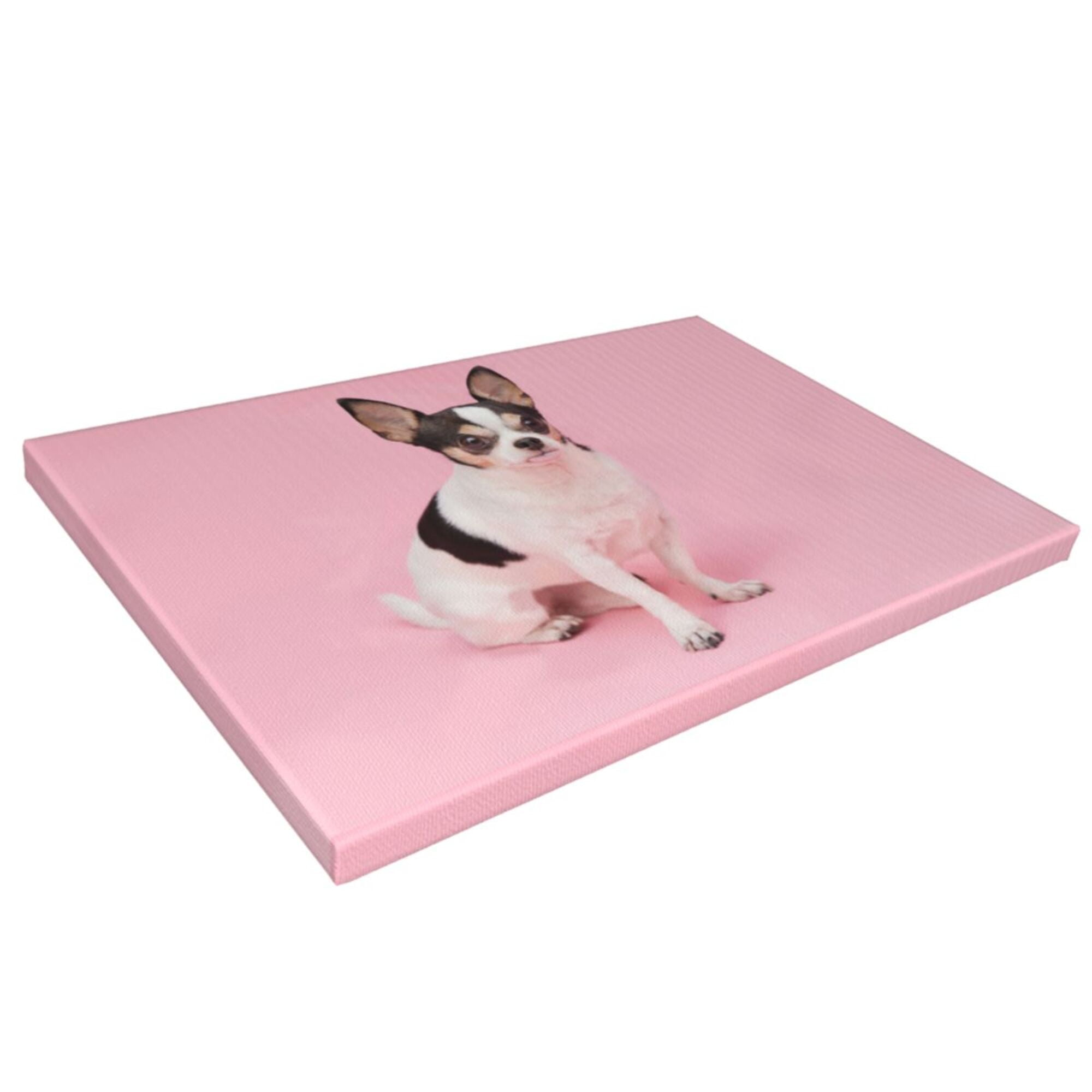 Decor Cute Chihuahua Dog Animal Wall Decor Bathroom Canvas Painting Modern Decorations Framed ...