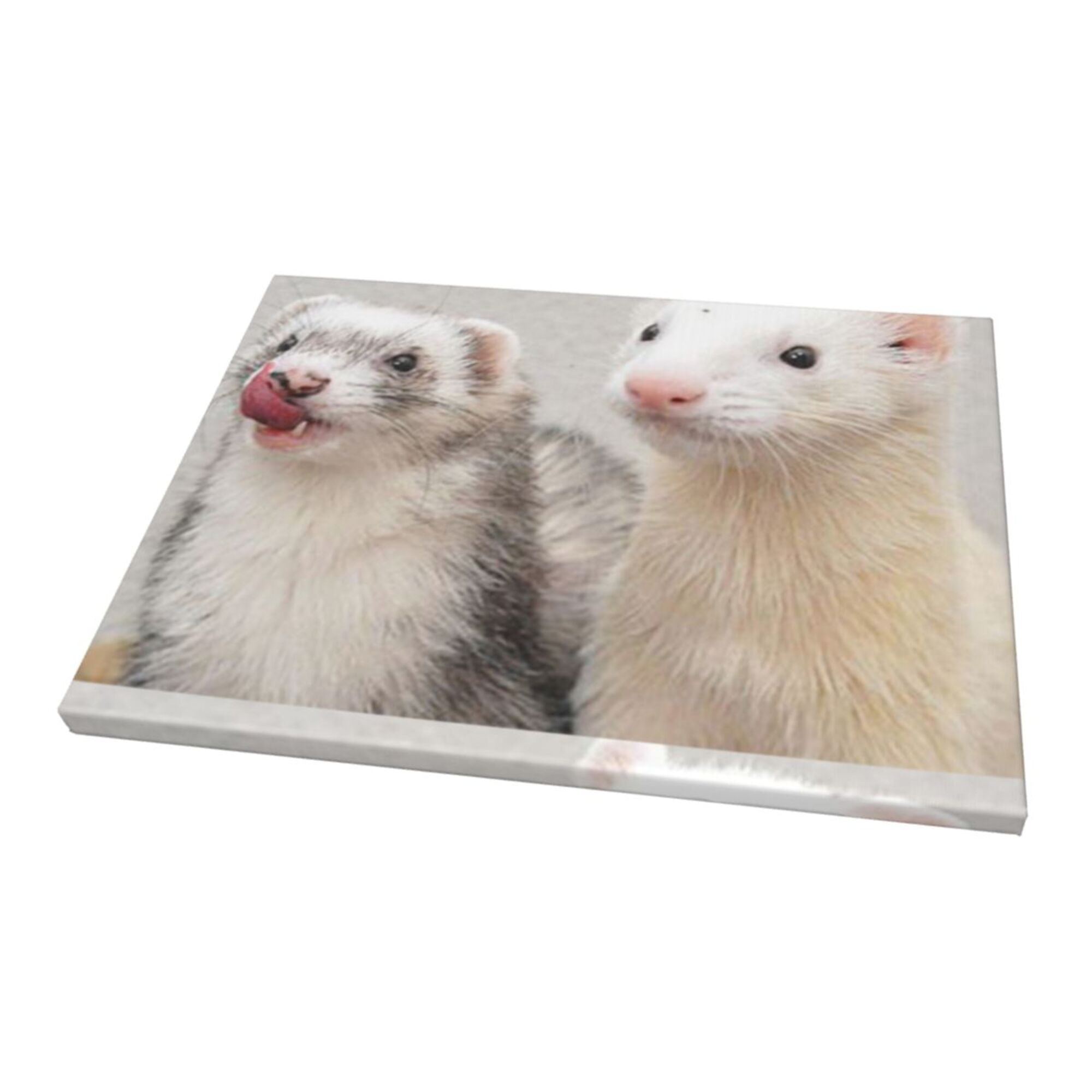 Decor Cute Ferret Wall Decor Bathroom Canvas Painting Modern ...