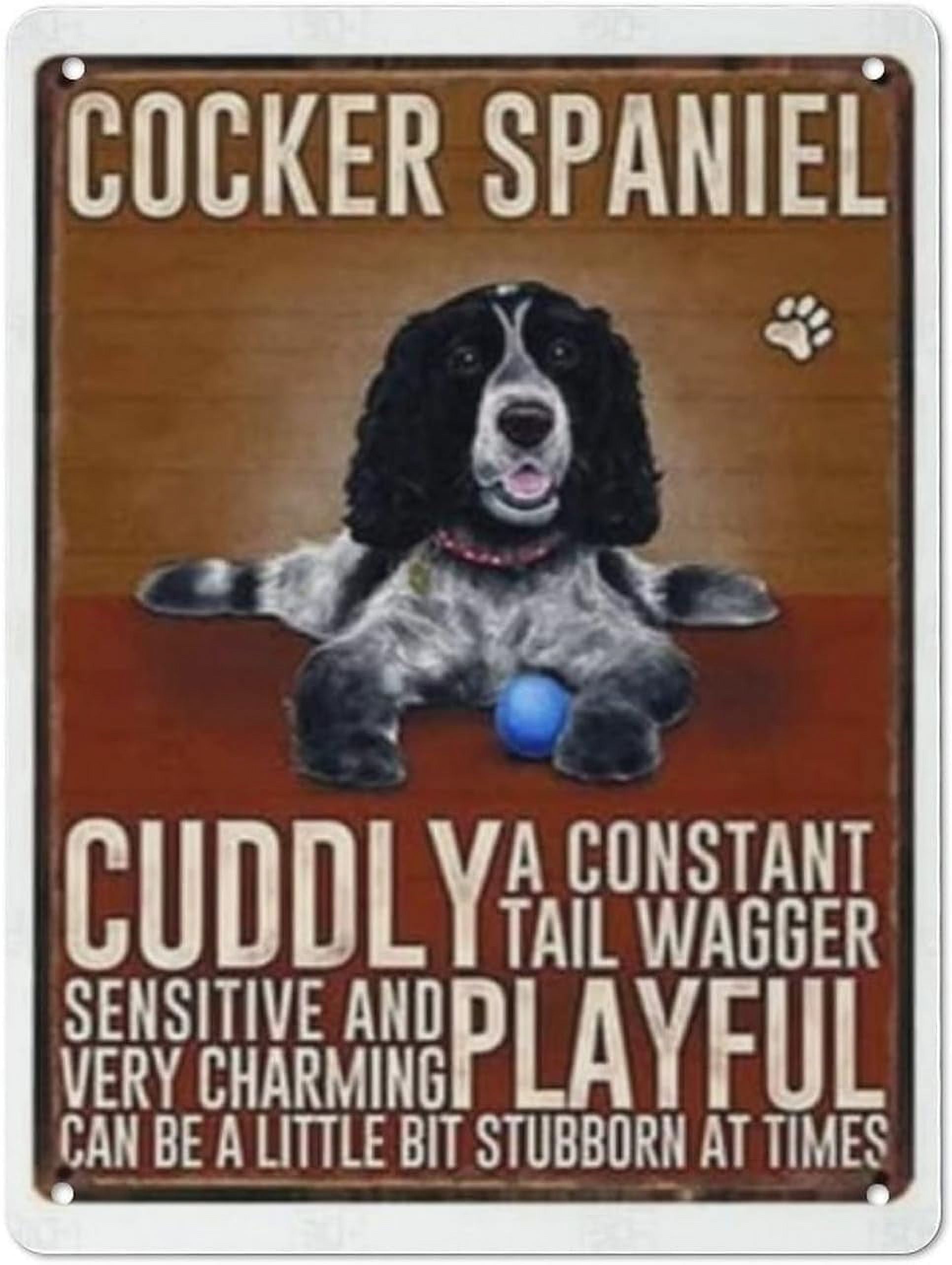 Decor Hanging Picture Why I Love My Black White Cocker Spaniel Style ...