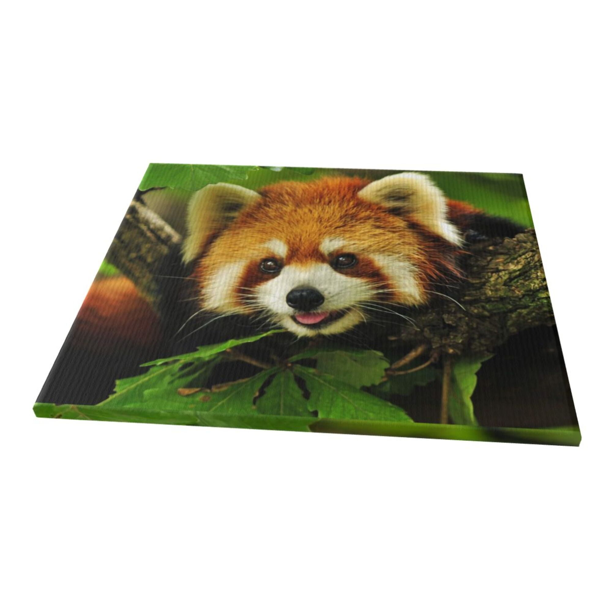 Decor Little Cute Red Panda Wall Decor Bathroom Canvas Painting Modern ...
