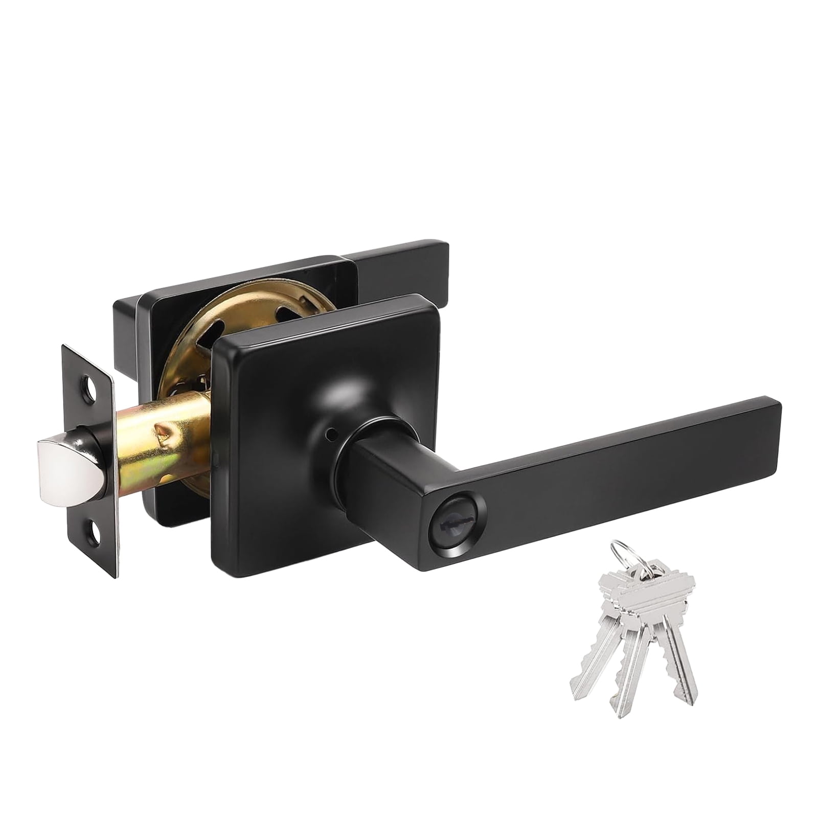 Decor Mo Zinc Alloy Modern Entry Door Lever, Keyed Handle with Keys ...
