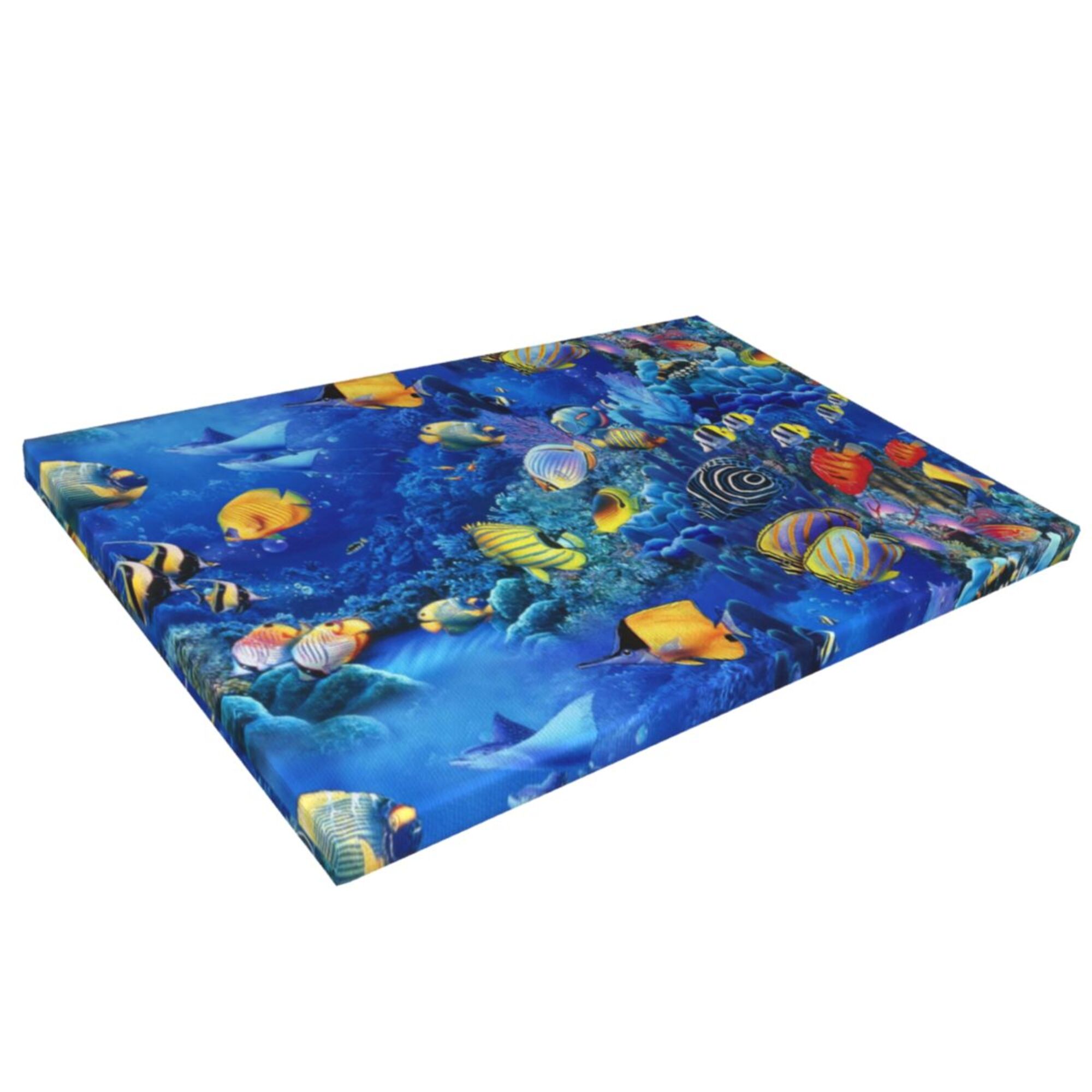 Decor Ocean Fish Wall Decor Bathroom Canvas Painting Modern Decorations ...