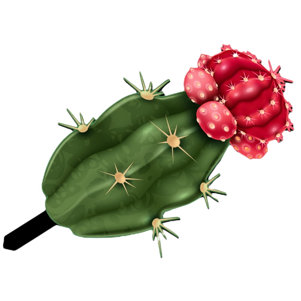 Decor Outdoor Cactus Stake Gardening Adornment Plant Stakes Decoration ...