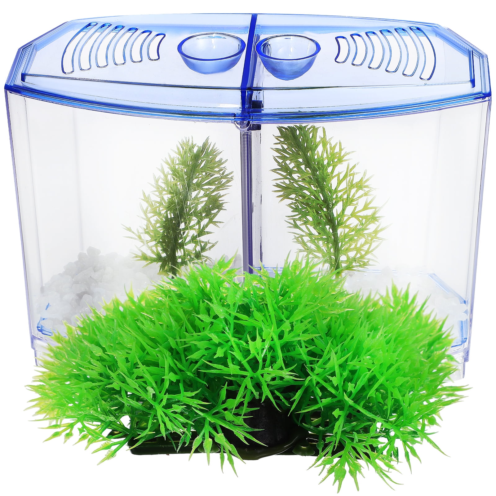 Decor Plastic Fish Tank Plastic Aquarium Aquarium 20l Blue Fish Tank ...