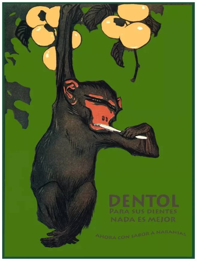 Decor Poster. Fine Graphic Art Design. Dentol para sus dientes nada ...