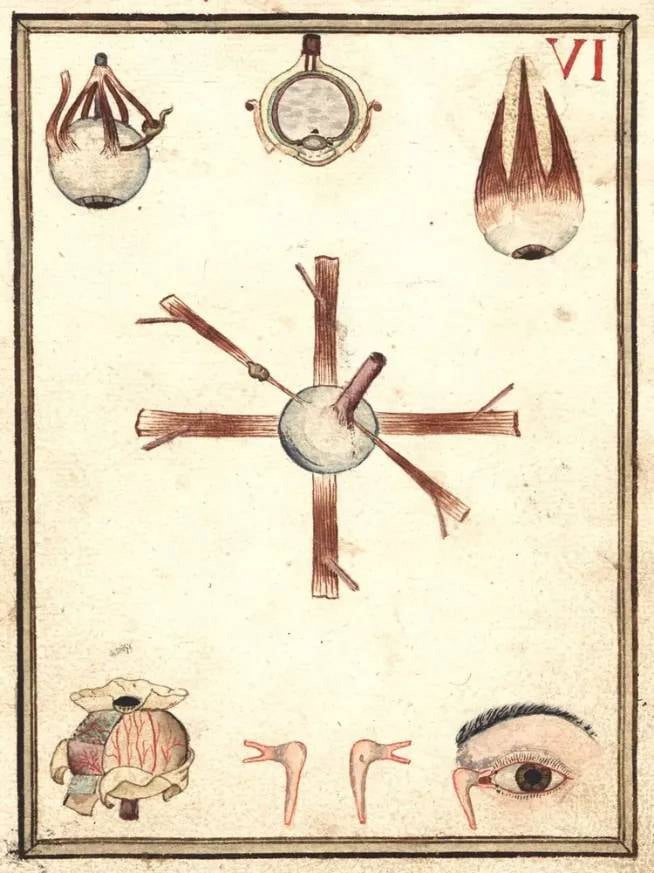 .Decor Poster.Room wall.Home vintage art design.Victorian eye surgery ...