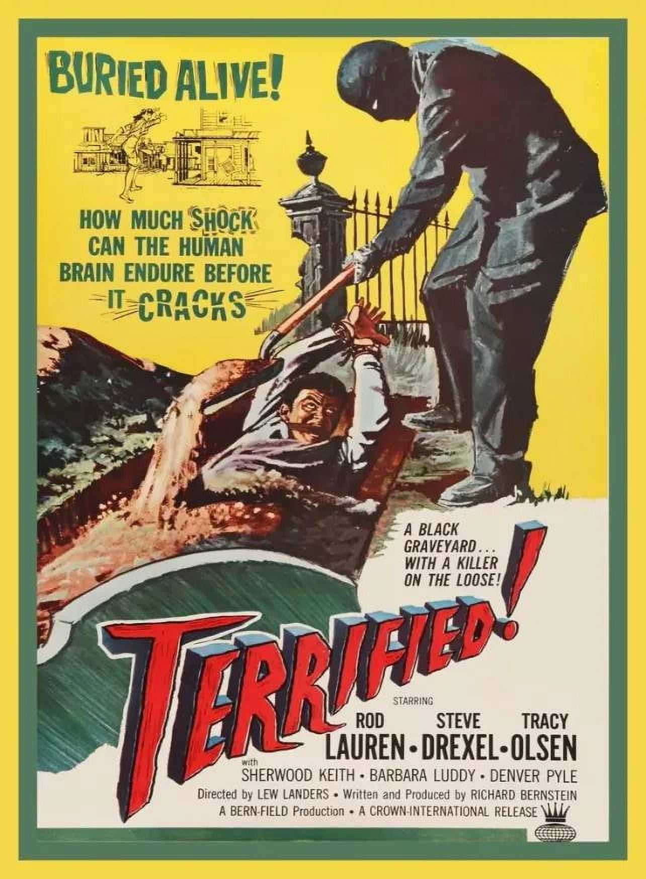 .Decor Poster.Room wall design.Buried Alive horror retro movie ...