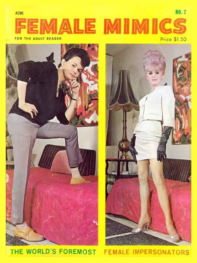 .Decor Poster..Vintage Interior wall art design.Female Mimics retro ...